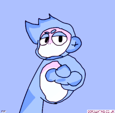 The giant horse conch weight about 11 pound