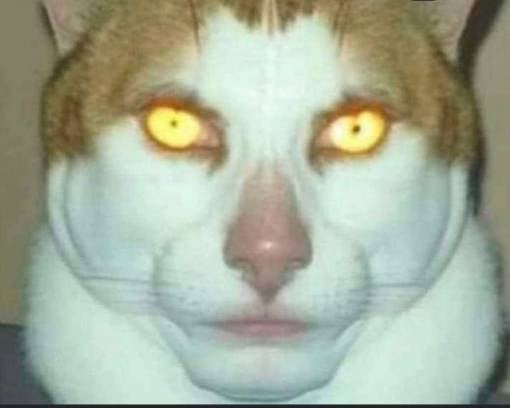 Crystal Castles Untrust Us (Best Part Slowed +Looped) 0756771469