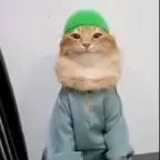 Tap tap tap arabic by HighAmplitudeExpander63977 Sound Effect - Tuna