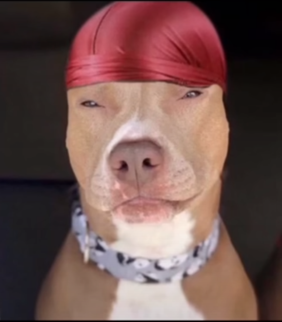 loud incorrect buzzer by SineBitcrusherFeedback66098