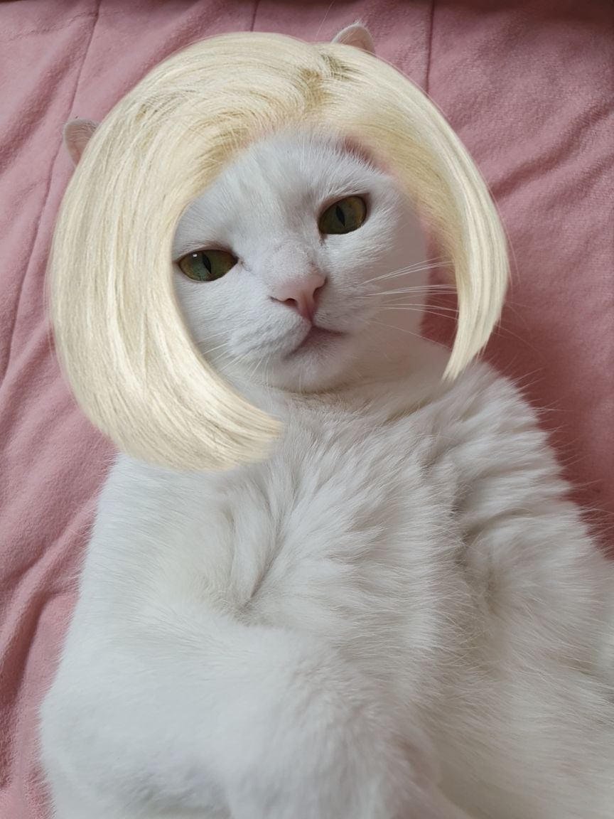 뚜뚜나뚜따 by dodo0816 - Meme Sound Effect Button for Soundboard - Voicemod