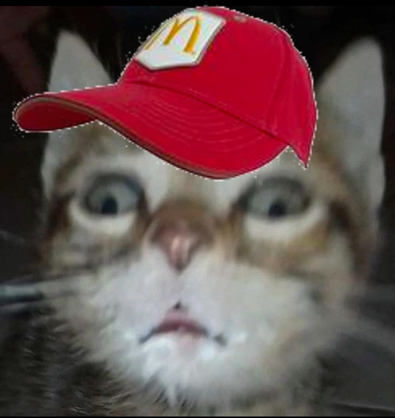 F by OpticalSignalExpander26104 Sound Effect - Meme Button - Tuna