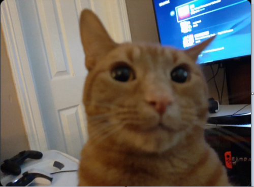 DUHHH by Pwnr - Meme Sound Effect Button for Soundboard - Voicemod