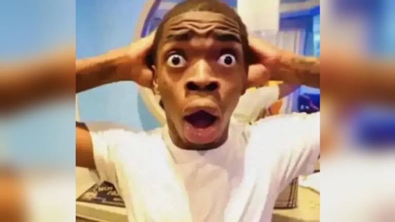 screaming bird meme by avi0 Sound Effect - Meme Button - Tuna