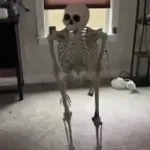 skeleton shield (copy) by ITrollMonks - Meme Sound Effect Button for ...