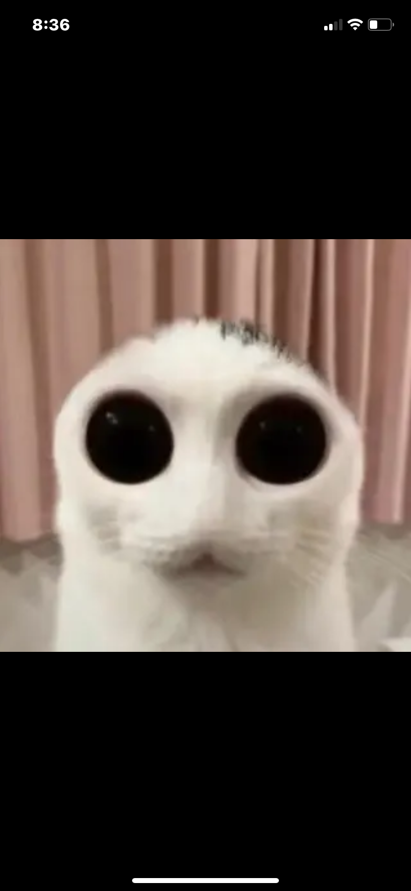 EAS scenario - lock your door and hide by gomd - Meme Sound Effect ...