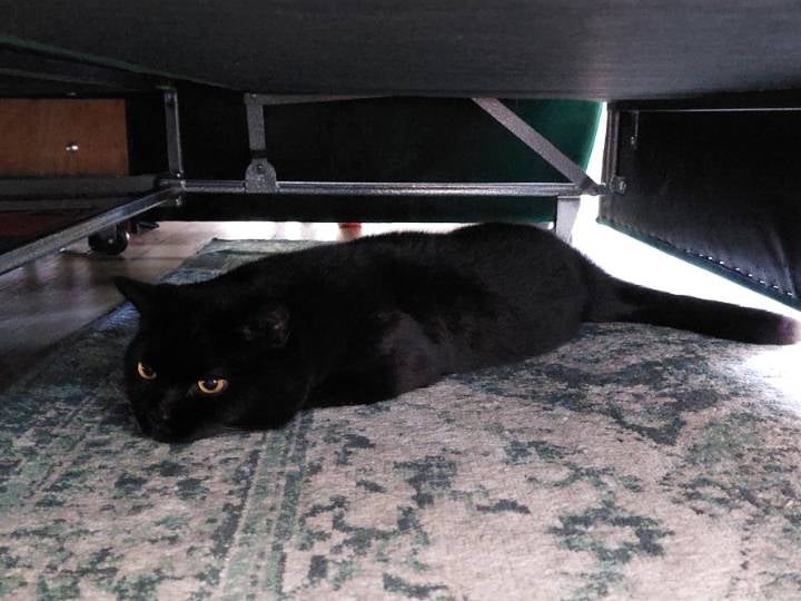 Skily SUS by RatioResonanceTempo89241