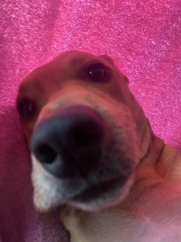 white tee rizz song by ParametricSustainLimiter23413