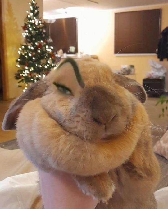 MB5 by nukeynknoodles - Meme Sound Effect Button for Soundboard - Voicemod