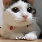 ffuguguhtughtuhgtughjtugjtuigj by gayfurryporn - Meme Sound Effect ...