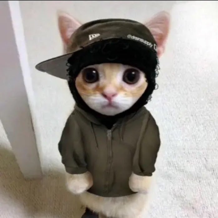 Jamal Theme Song by TriangleFilterResonance34121 - Meme Sound Effect ...