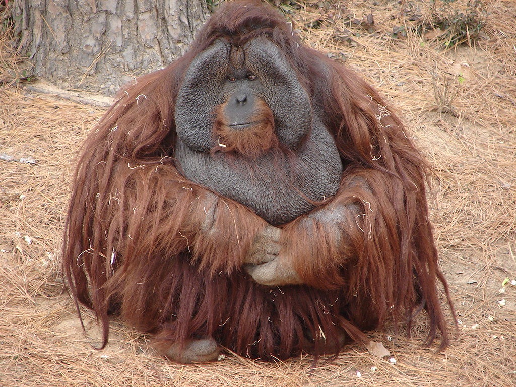 Take That SML Diddy Party Song by FilterCardioidFader83508 - Meme Sound ...