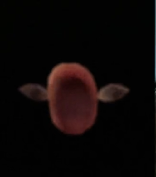 mbn by Ceejayy Sound Effect - Meme Button for Soundboard - Tuna