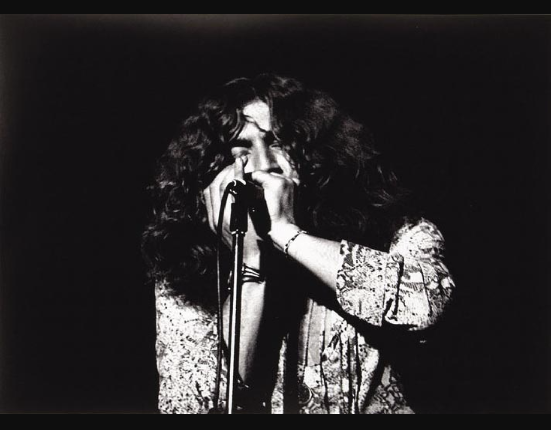 When The levee Breaks Harmonica by Maptongue Sound Effect - Tuna