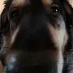 sus clapping Sound Effect by SwaggerSalsa - Meme Sound Effect Button ...