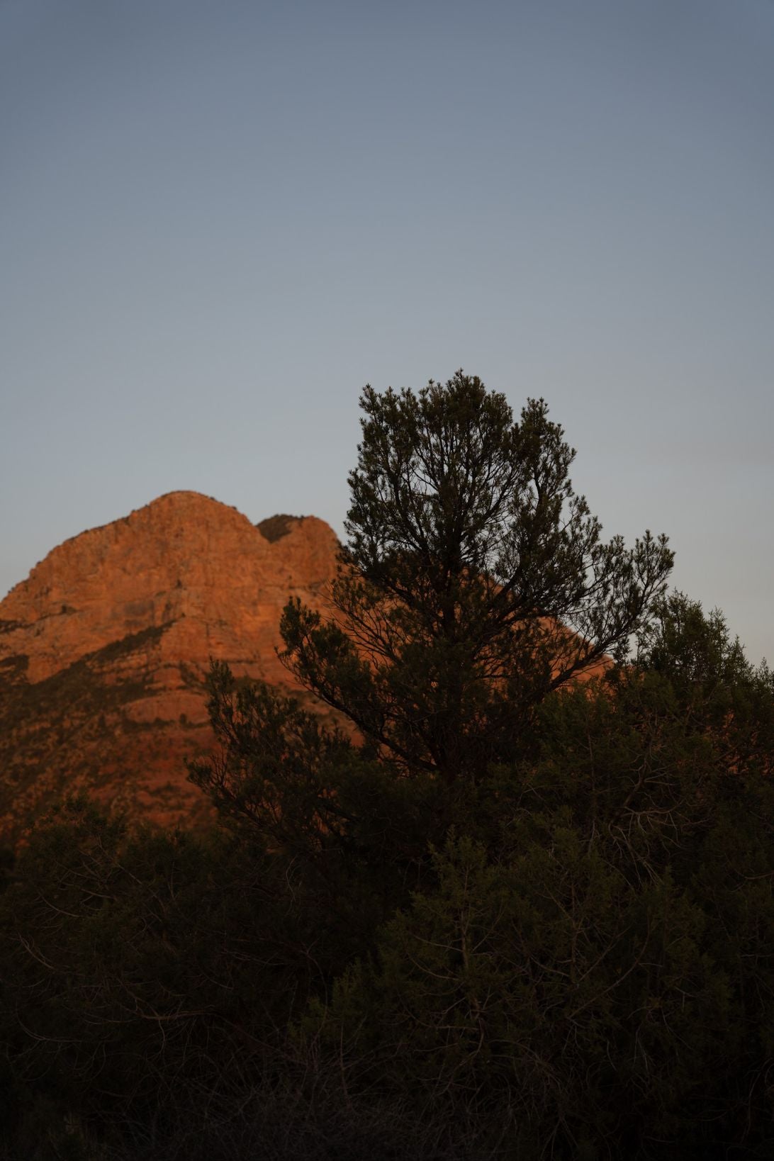 David Guetta & Bebe Rexha Blue (AHH Remix) by RonnieSalad - Tuna