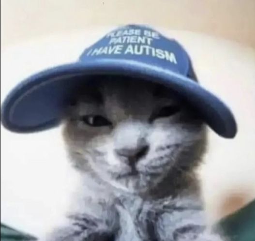 VREDNOBLOG BASS BOOSTED by SigmaRule Sound Effect - Meme Button - Tuna