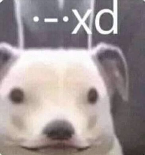 Gulp Gulp Gulp Gulp Tik Tok meme by Sebas12 Sound Effect - Tuna