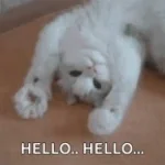 hello hello Meme Sound Effect Button for Soundboard by ...