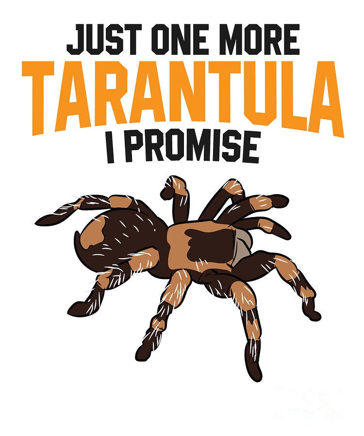 Tarantula Song by PhaseBoomyCardioid76890 Sound Effect - Tuna