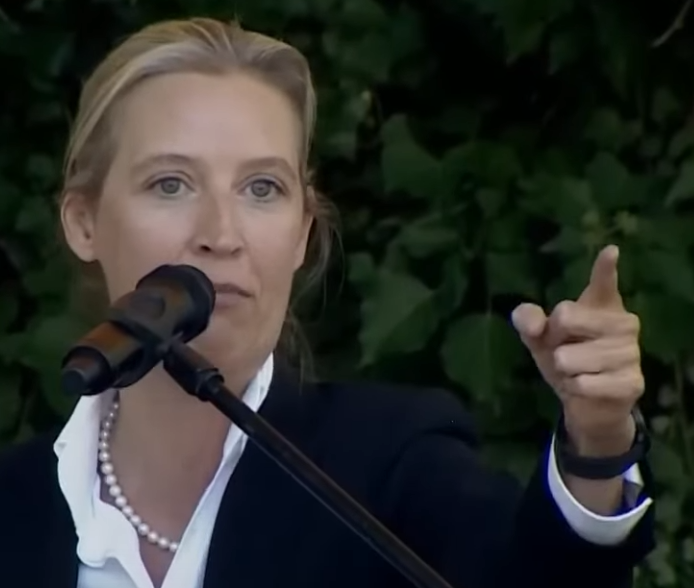 NIEMAND nimmt Alice Weidel ihr Schnitzel weg! by KampfTiger1 - Meme ...