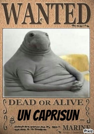 RENOI SANS EAU LOGOBI PIGNOUF[ConConverter by kayana074 - Meme Sound ...