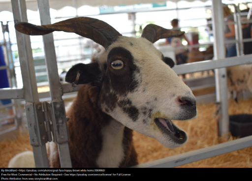 LELE KAKO MI SE IGRAJU AUTOMATI DRAGOSLAV STANOJE 3459640442