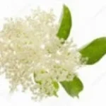 Shock (copy) by GainFlangerMono22123 - Meme Sound Effect Button for ...