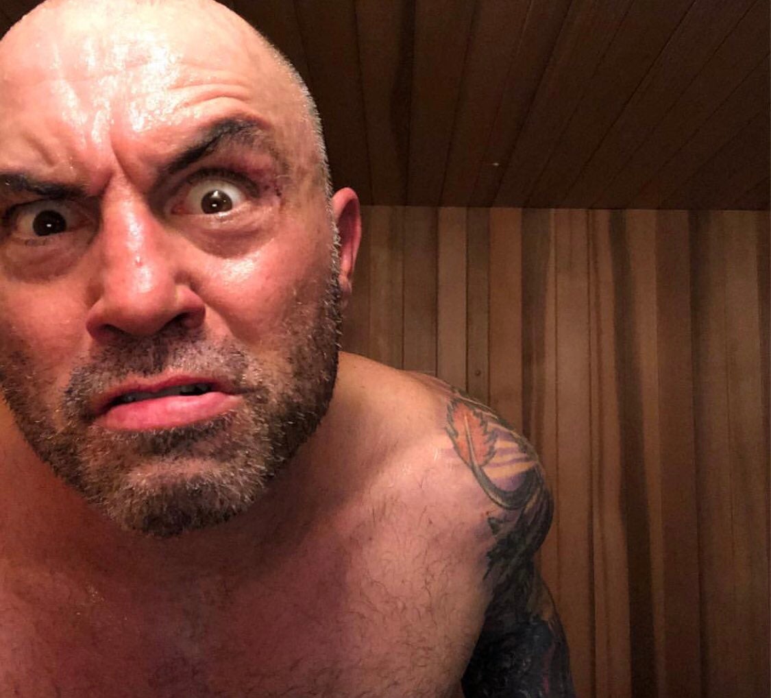 Joe Rogan animal impression