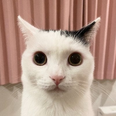 NIGGA RACER by BoomyRatePreamp59074 Sound Effect - Meme Button - Tuna