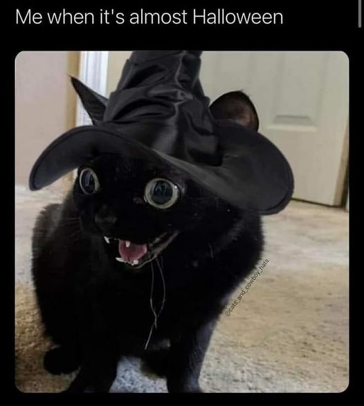 4 MINUTES OF BAPPO pt4. by Ghostthewolf Sound Effect - Meme Button - Tuna