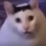 huh-huh-huh-cat-(slowed-version)-made-with-Voicemod (1) by ...