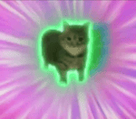 u i i a cat (rave remix) by GainChorusSine85458 - Meme Sound Effect ...