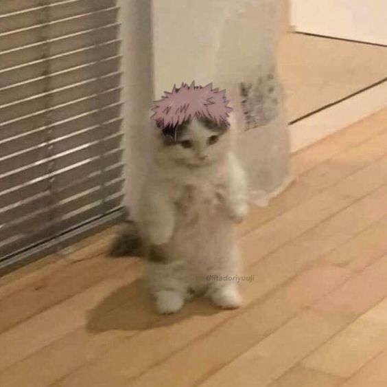 Looksmaxxing by BingoHeeler - Meme Sound Effect Button for Soundboard ...