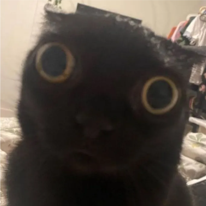 Huntsman R.E.P.O sound by GraphicAmbienceParallel68097 - Meme Sound ...