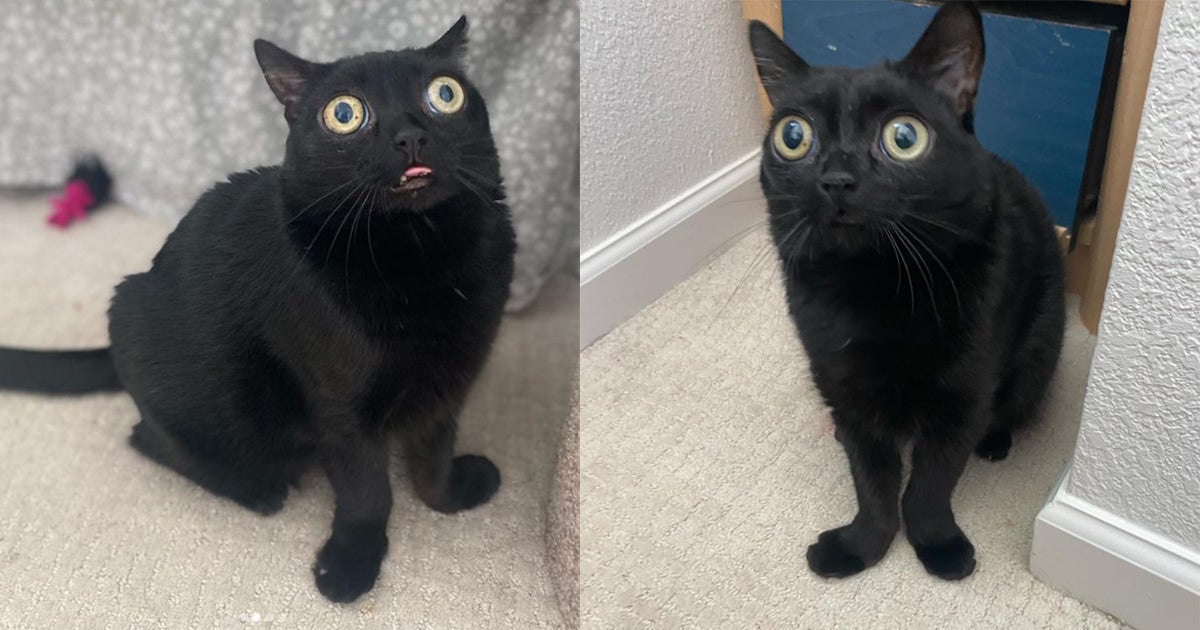 DFFFFFF by LiveOvertonePhaser618 - Meme Sound Effect Button for ...