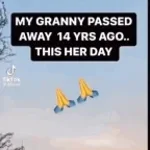 RIP Granny by ChamberRotaryEnvelope9569 - Meme Sound Effect Button for ...