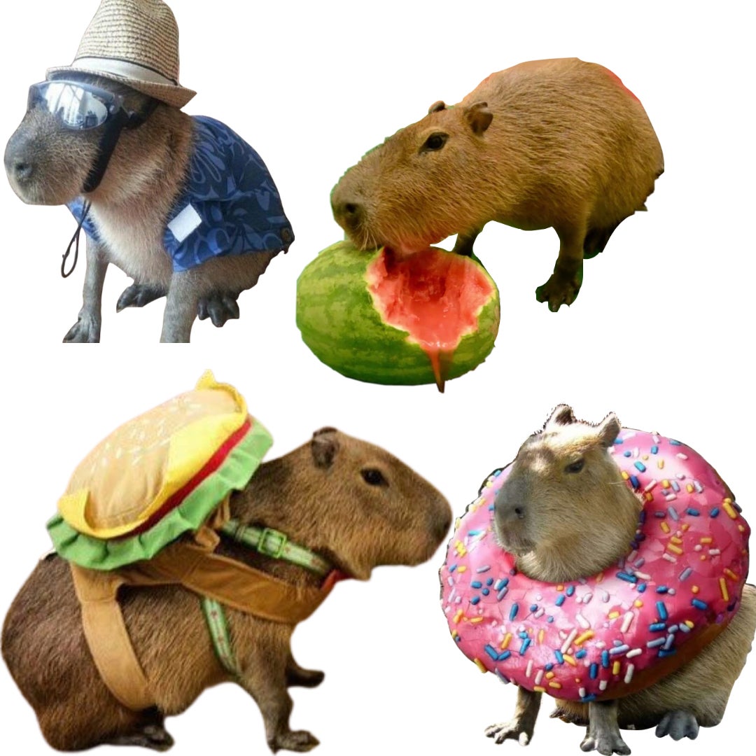 ok i pull up capybara extended by Capybaramaster Sound Effect - Tuna