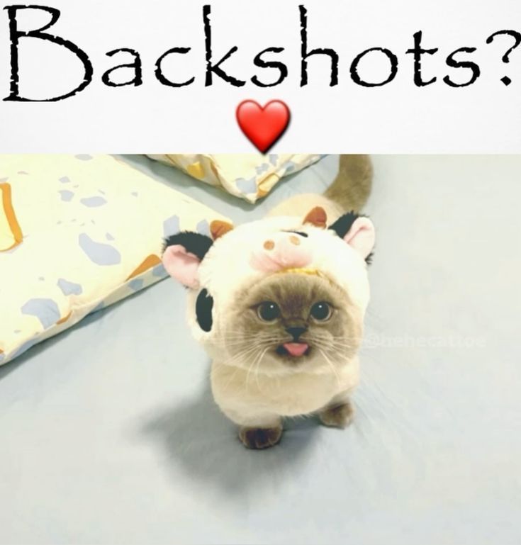 Gunshot vineboom by Schnorres - Meme Sound Effect Button for Soundboard ...