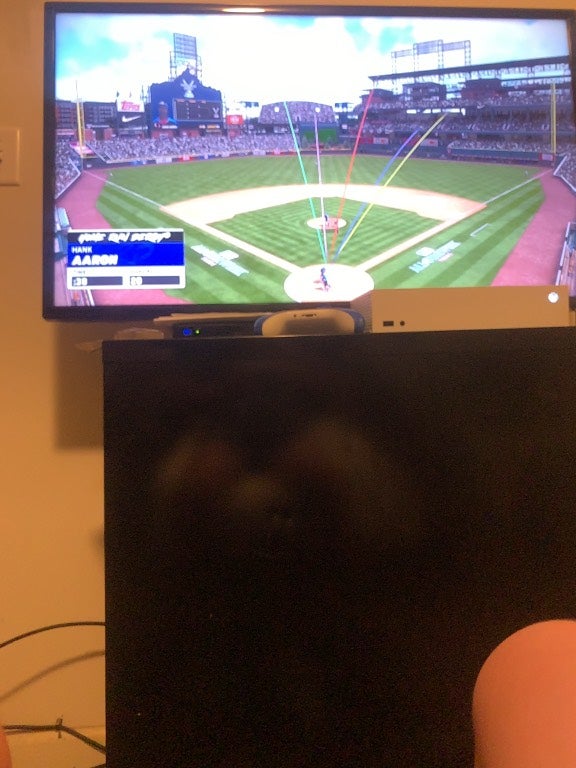 Don pollo singing Ohio sounds by Dinglefearnoodle Sound Effect - Tuna