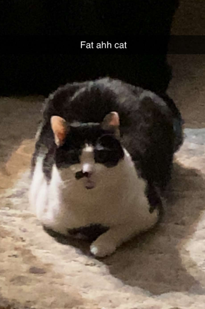 Rizz theme 2 by SeanOnCrack Sound Effect - Meme Button - Tuna