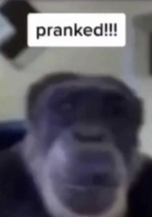 Smokin that pack :skull: by Boobger Sound Effect - Meme Button - Tuna