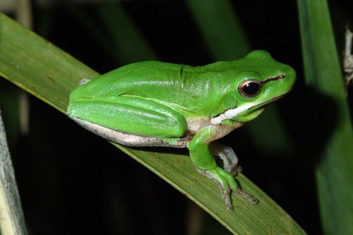 WHAT! Man c’mon get that pepper off there, that’s just too much by ...