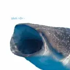 BLEHHH by TempoRotaryRing28517 Sound Effect - Meme Button - Tuna