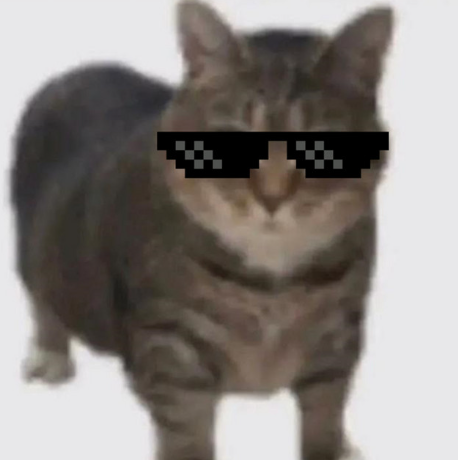 OIA CAT by Goofyahhb - Meme Sound Effect Button for Soundboard - Voicemod