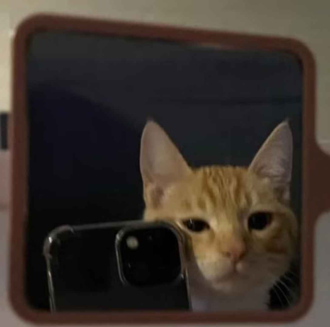 Trap Royalty by Branto - Meme Sound Effect Button for Soundboard - Voicemod