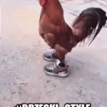 Screaming chicken on tree meme by GraphicDryThreshold84439 - Meme Sound ...