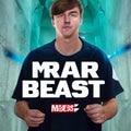 Mr Beast but Cheap mic by ParametricReverseFlanger78