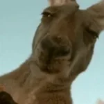 shubarus basement by RoobyThePIg - Meme Sound Effect Button for ...