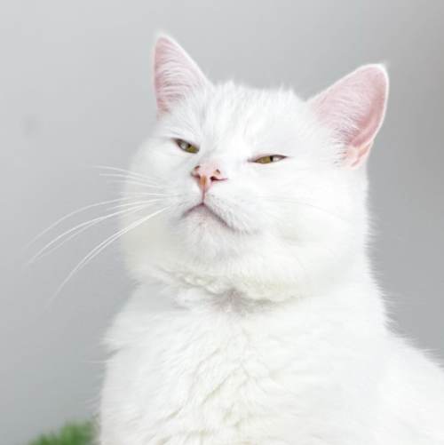 Why are we still here just to suffer Sound Effect by JuaniorMints ...